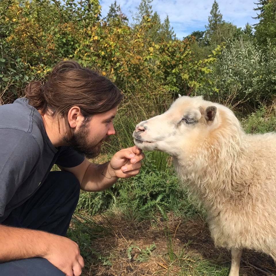 Contact – Compass Rose Wool Mill