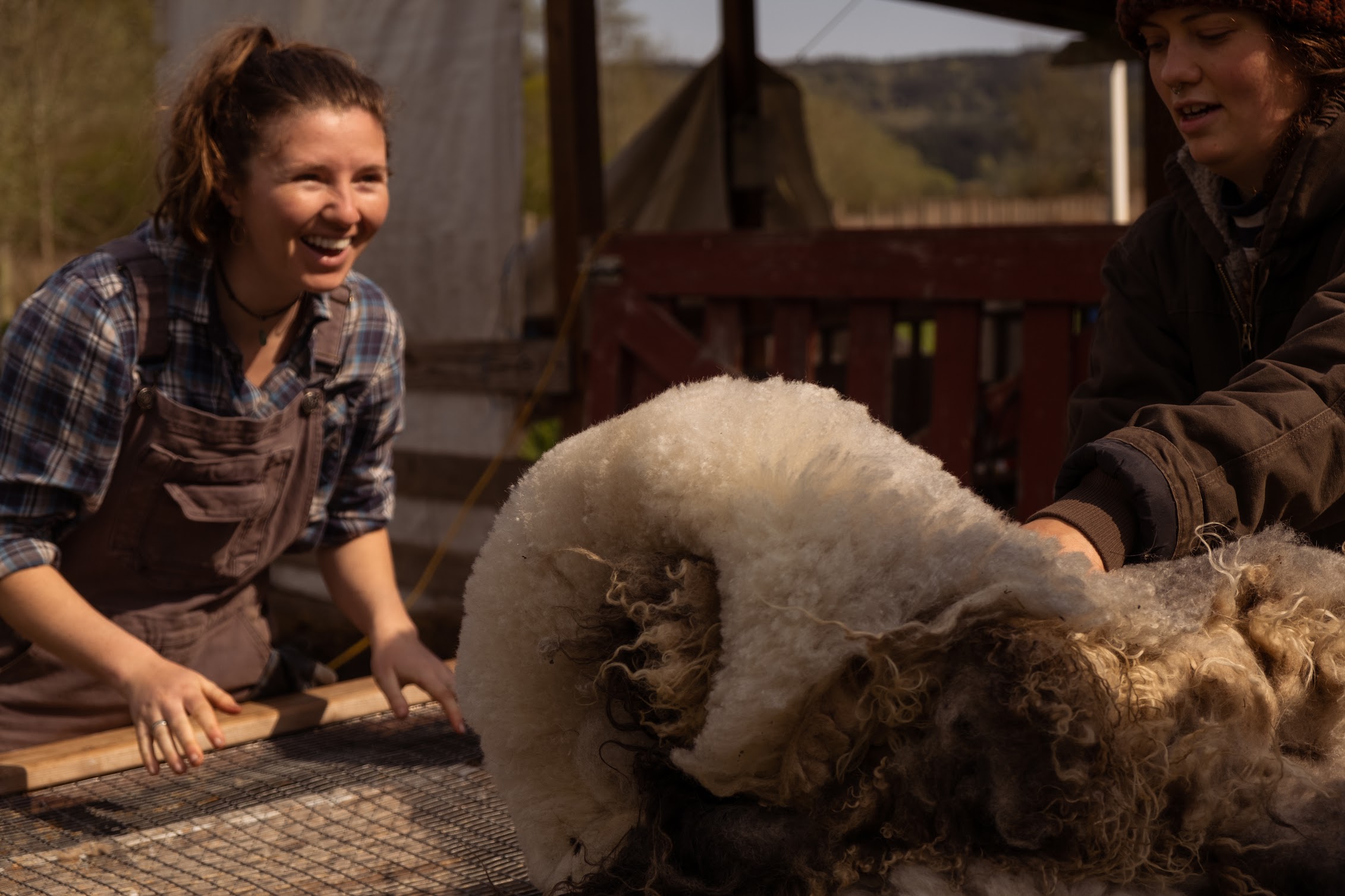 About – Compass Rose Wool Mill