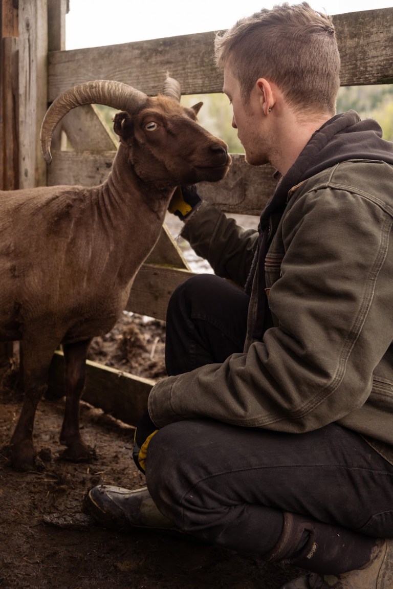 Compass Rose Wool Mill – Connecting People, Land and Fiber